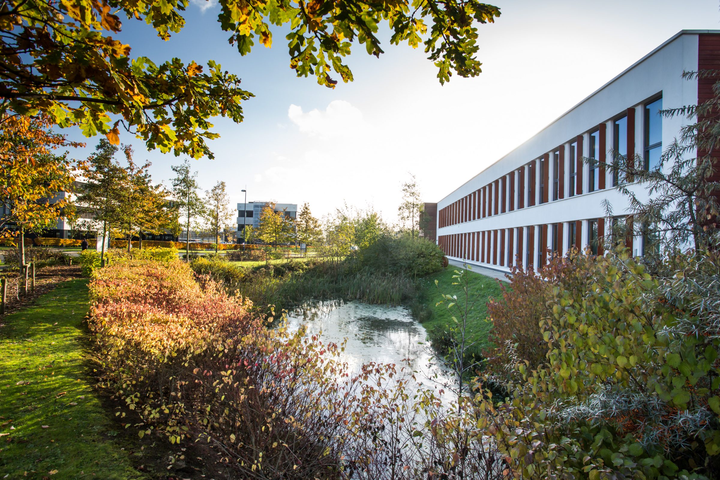 Offices To Rent In Leeds Thorpe Park - Pure Offices