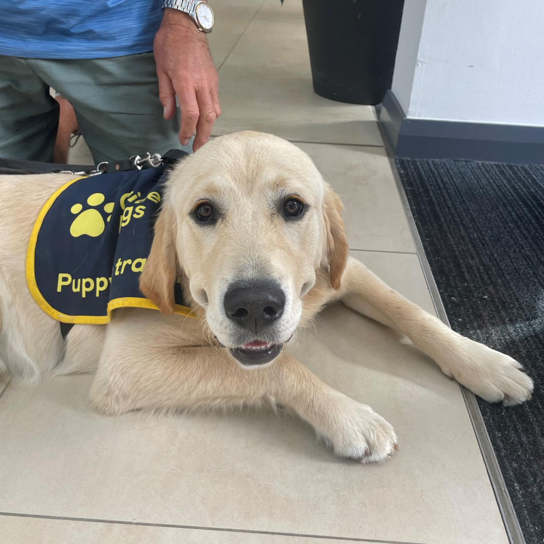 Pure Offices' Charity Work! - Pure Offices | Serviced offices